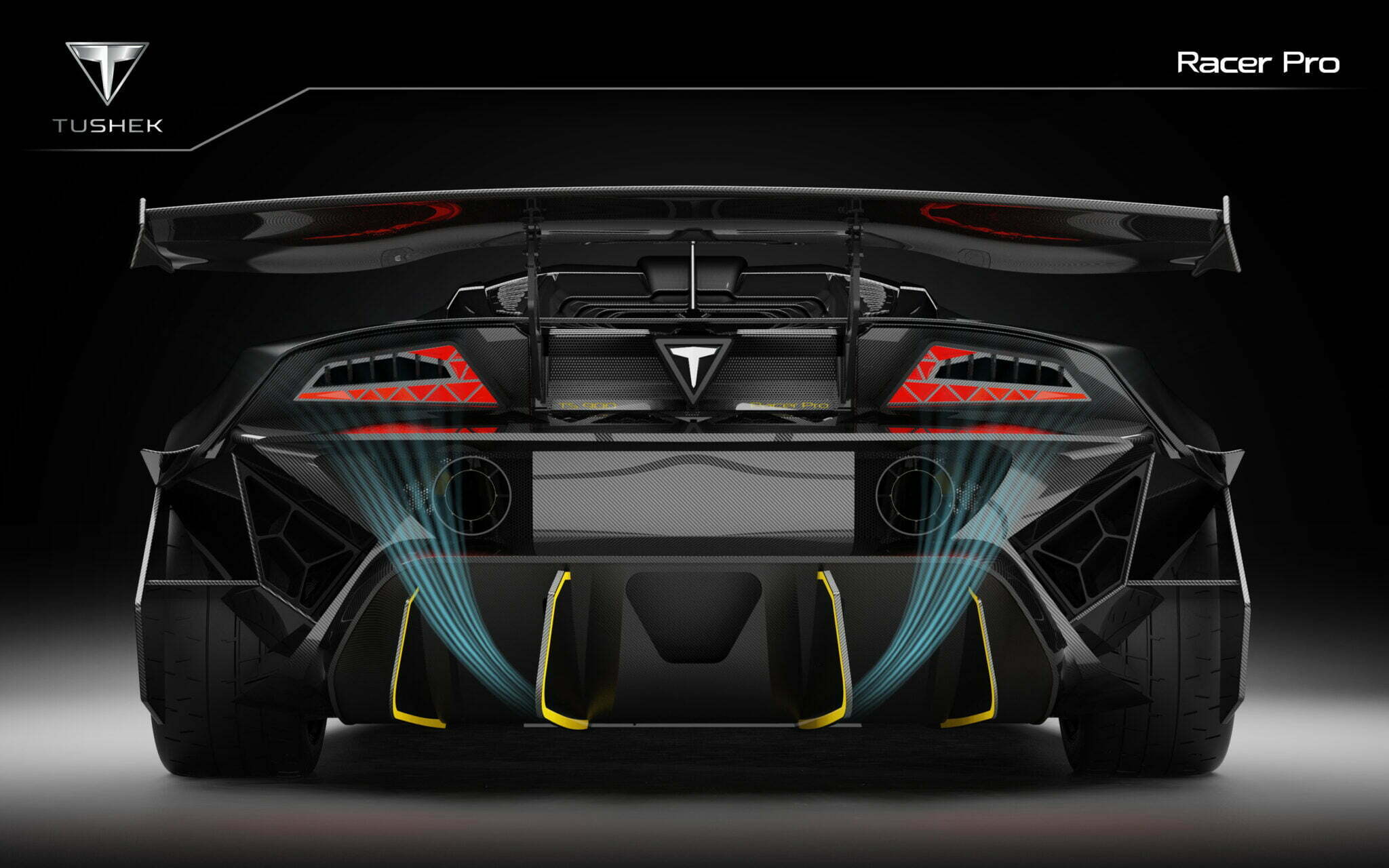 TS 900 Racer Pro - Tushek